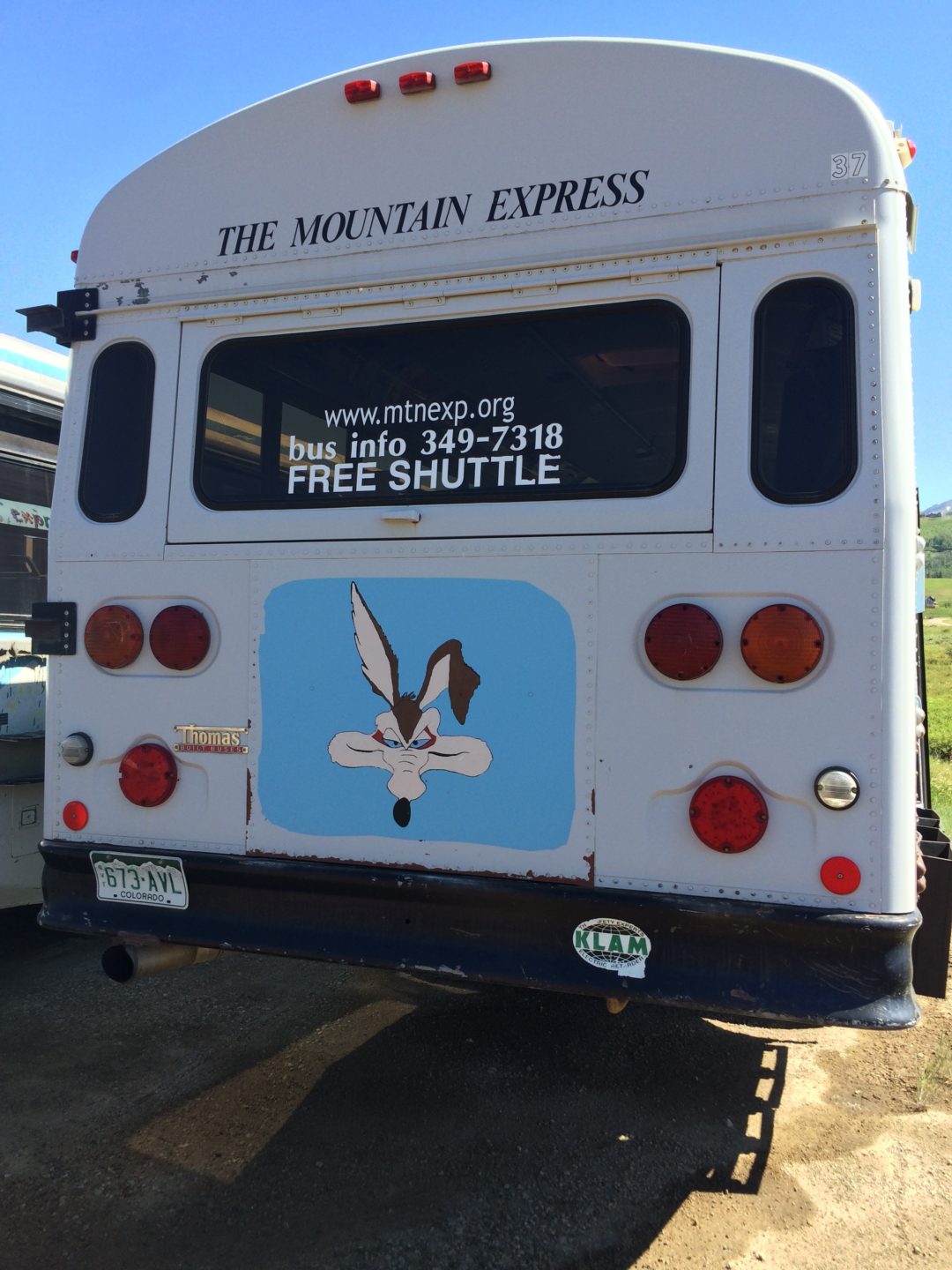 Painted Bus Gallery | The Mountain Express