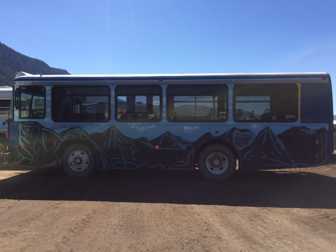 Painted Bus Gallery | The Mountain Express